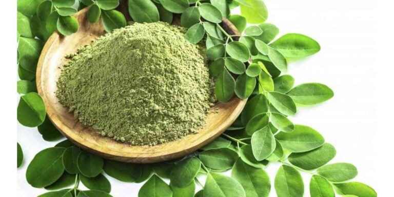 Μορίνγκα: ο βασιλιάς των superfoods - Αριστοτέλης Βάθης MD MSc ECP ...