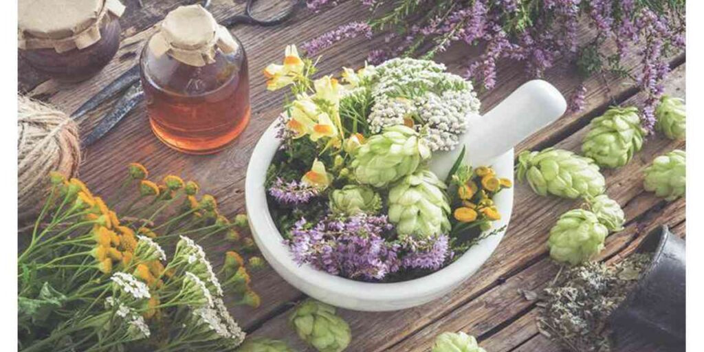 VALMANE - που χρησιμοποιείται η ΒΑΛΕΡΙΑΝΑ; - Αριστοτέλης Βάθης ...