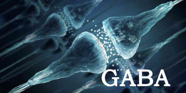 Τι είναι το GABA; (νευροδιαβιβαστής) - Αριστοτέλης Βάθης MD MSc ECP ...