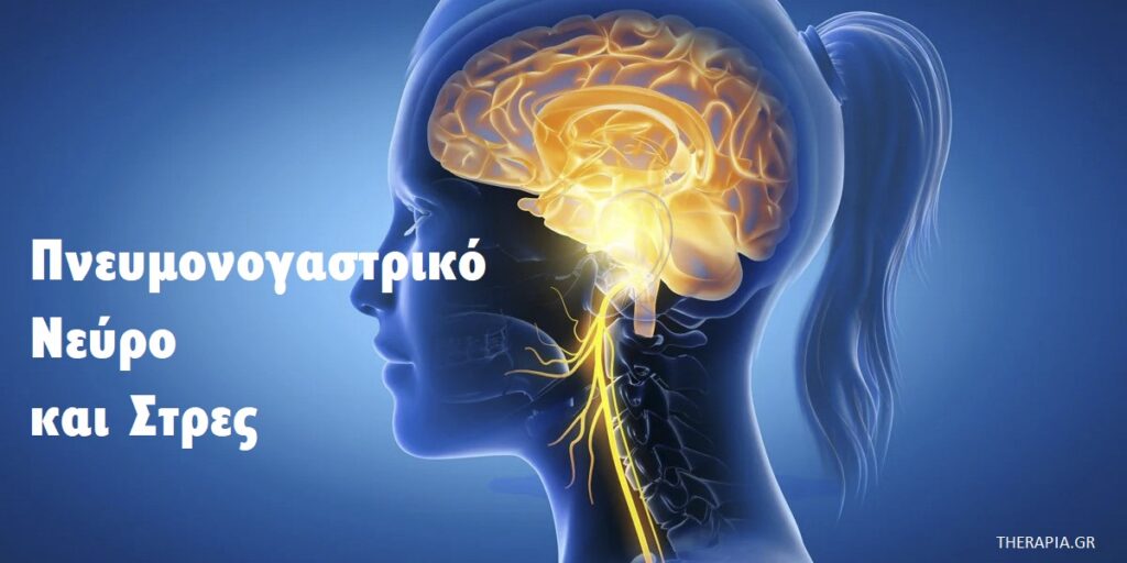 Πνευμονογαστρικό νεύρο και στρες - Αριστοτέλης Βάθης MD MSc ECP ...